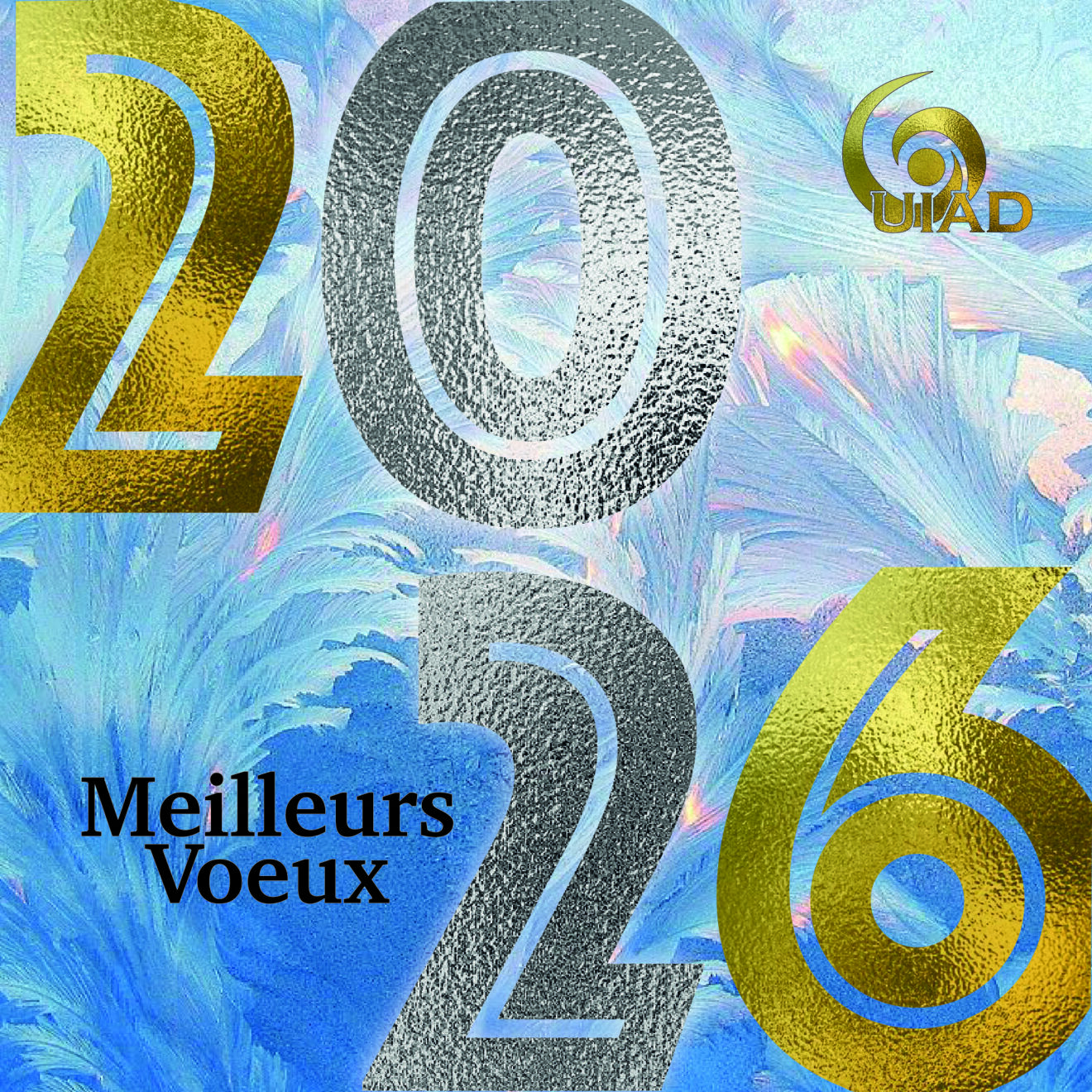 Bonne année 2026